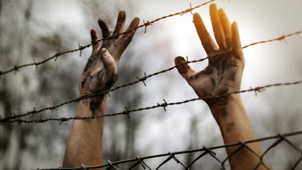 The Asylum Process: Step-by-Step Guide for Applicants